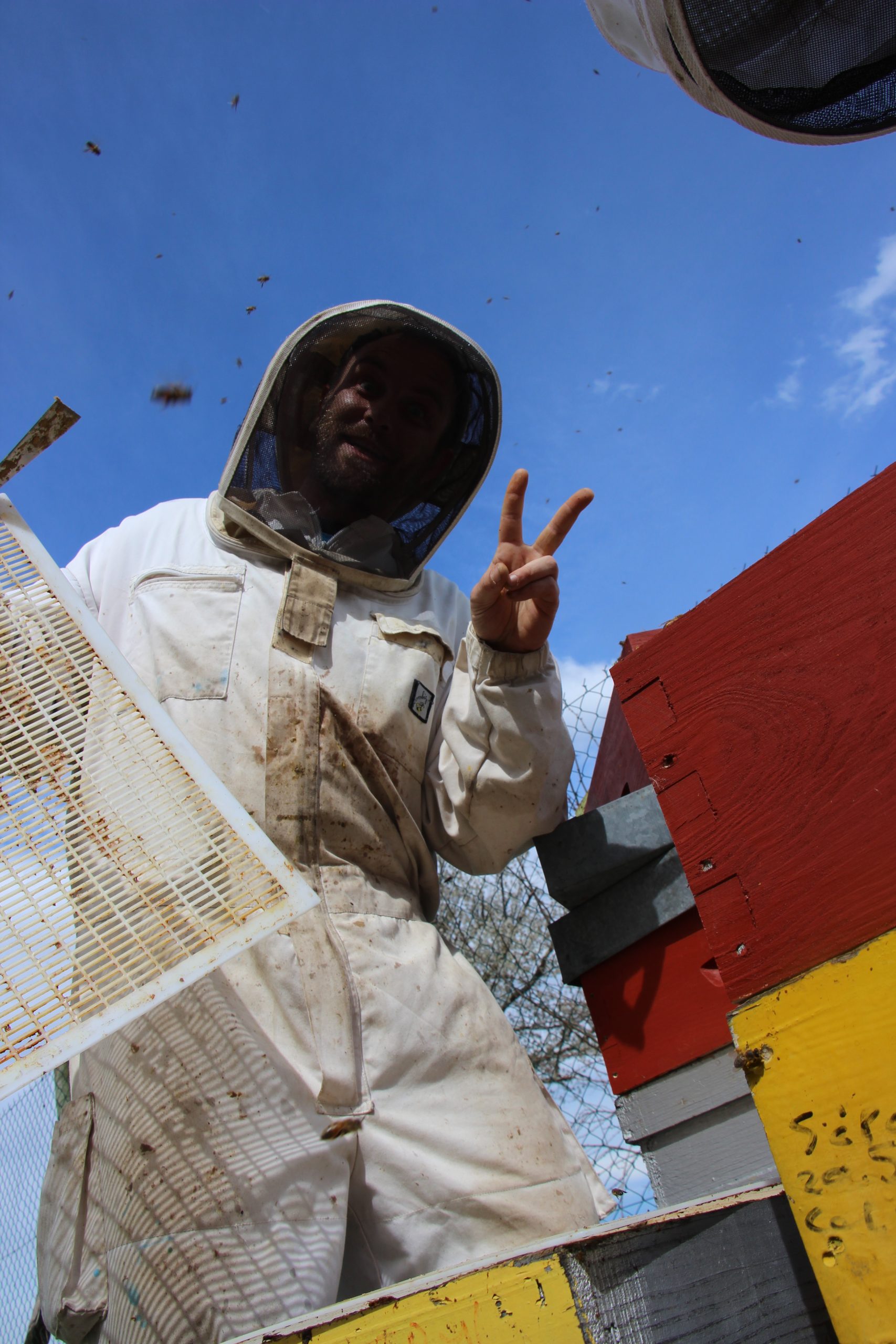 Lutte hivernale contre Varroa | Ada Occitanie