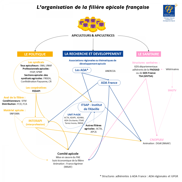 Les acteurs de la filière | Ada Occitanie
