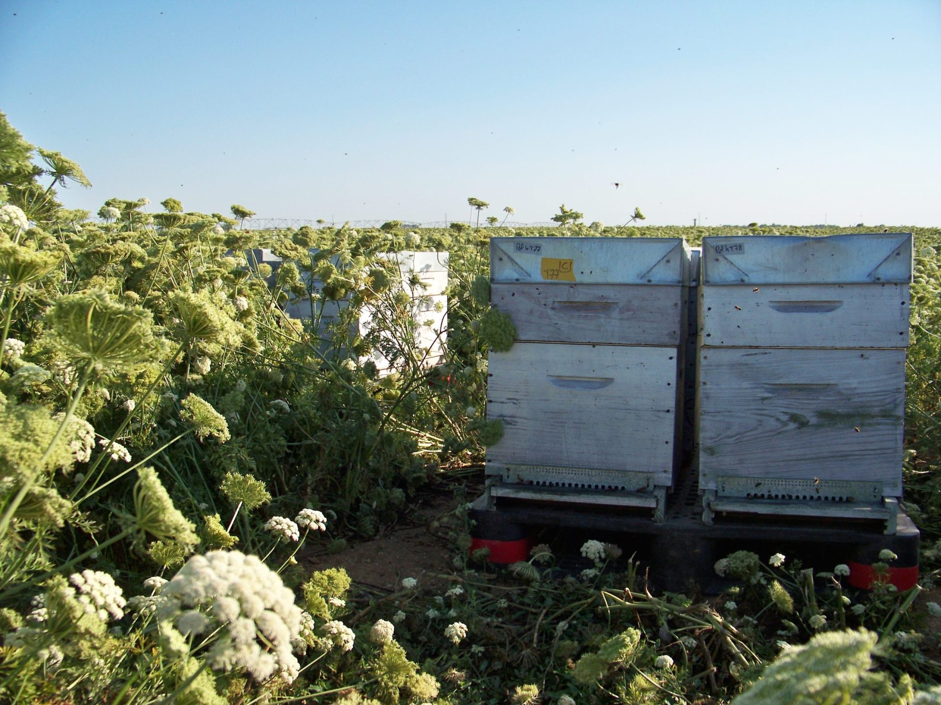 Cas-types et cas-concrets | Ada Occitanie